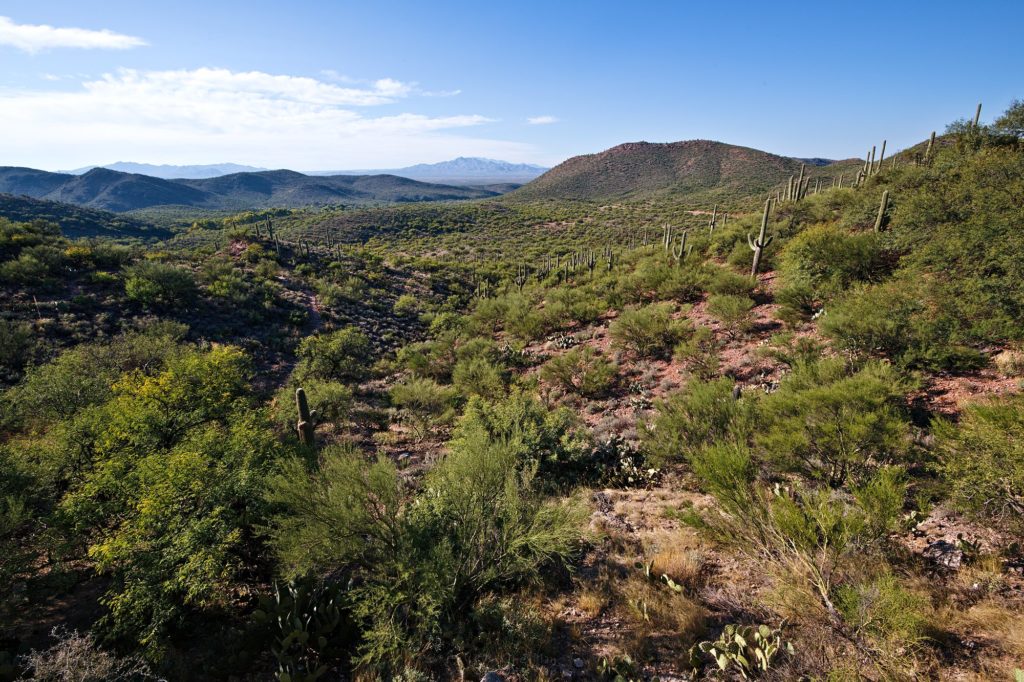 Colossal Cave Mountain Park | One Man, One Map
