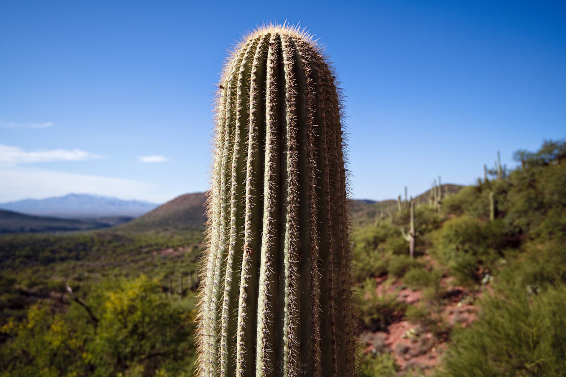 Colossal Cave Mountain Park | One Man, One Map